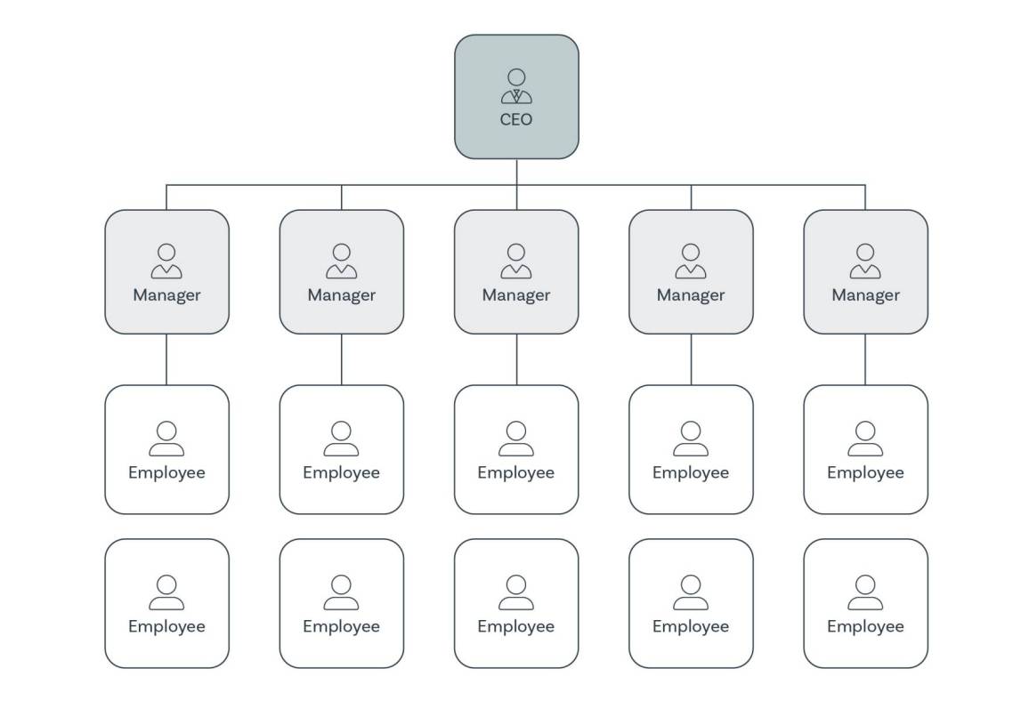 Was ist eine Organisationsstruktur: Definition & Arten | Ingentis