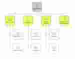 Was ist eine Organisationsstruktur: Definition & Arten | Ingentis