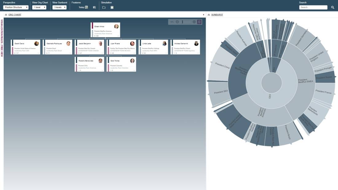 Data Visualization and Org Charts Based on SAP HCM | Ingentis