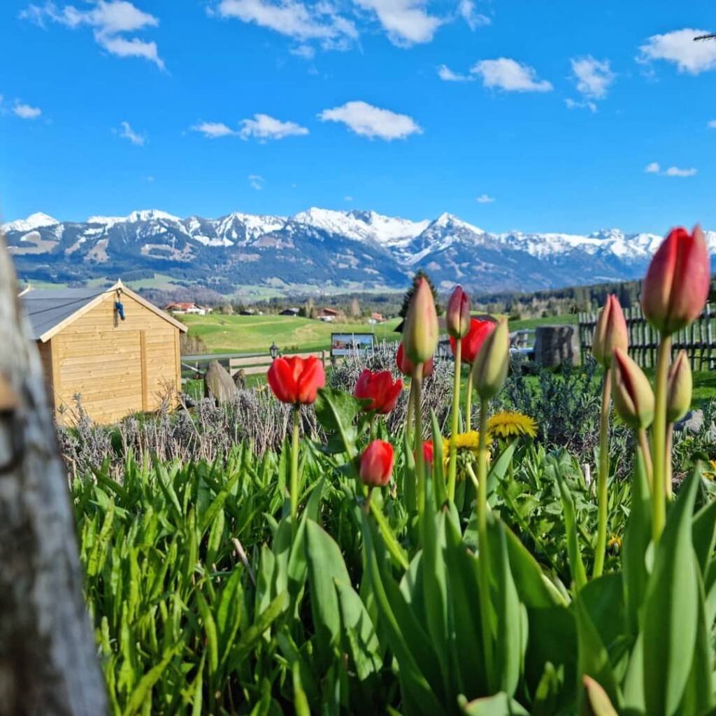 Sporthotel | Landhotel Alphorn