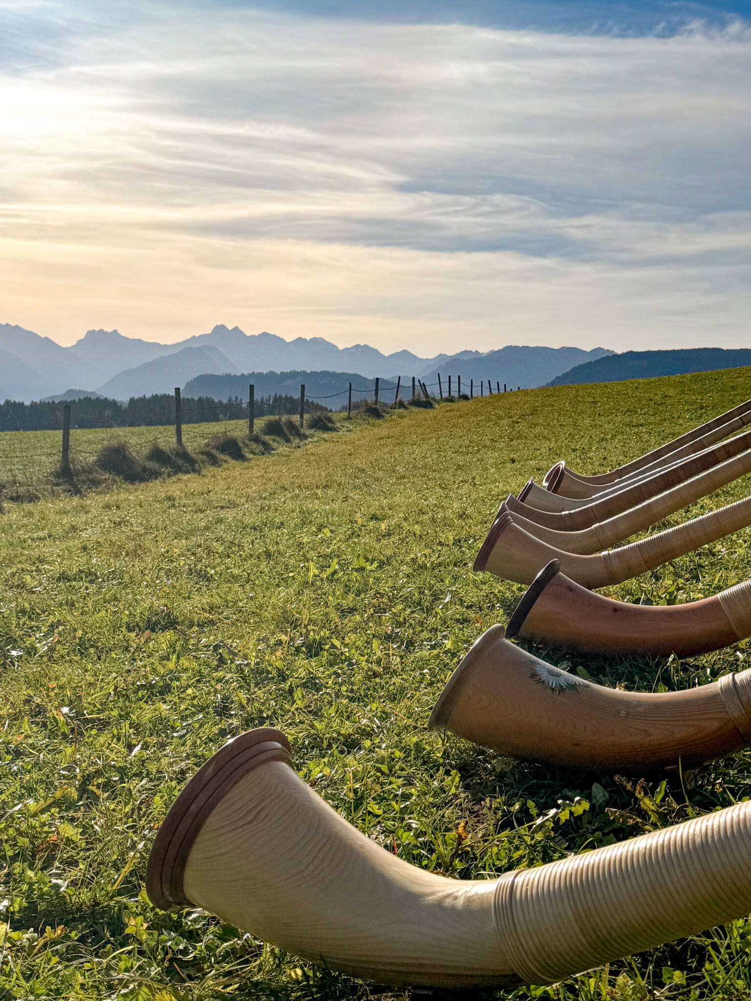 Allgäuer Urlaubserlebnisse im Alphorn | Landhotel Alphorn