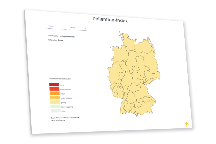 Flexible-Content-Blöcke › CANVAYO – Support