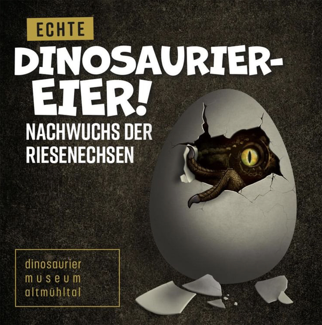 Das Dinosauriermuseum Altmühltal startet am Sa. 1.4.23 mit einer ...