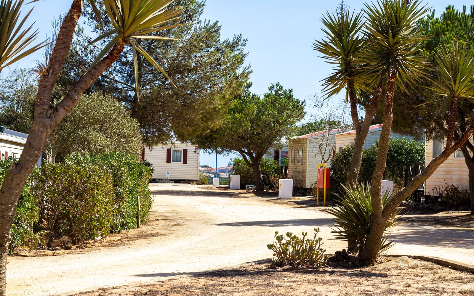 Camping Orbitur Sagres | mein PLATZ