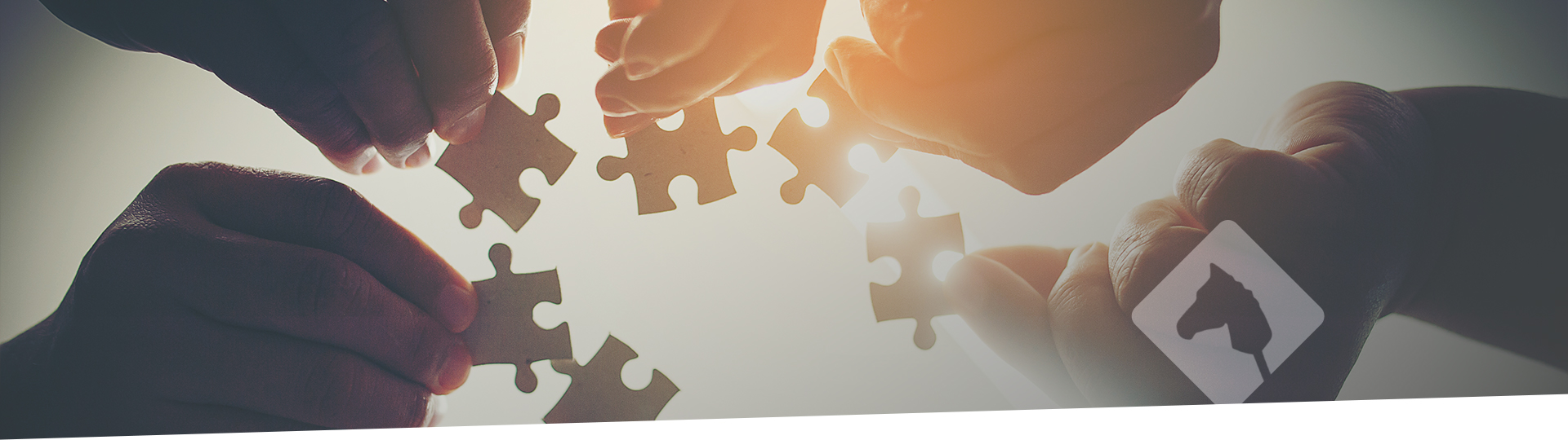 Team › DVSI | Ihr Spielzeug kennt uns