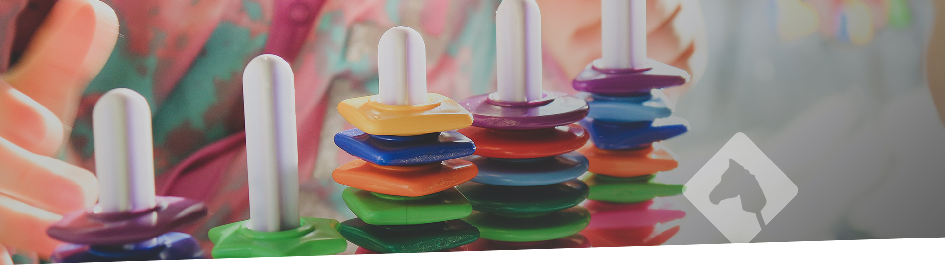 Themen › DVSI | Ihr Spielzeug kennt uns