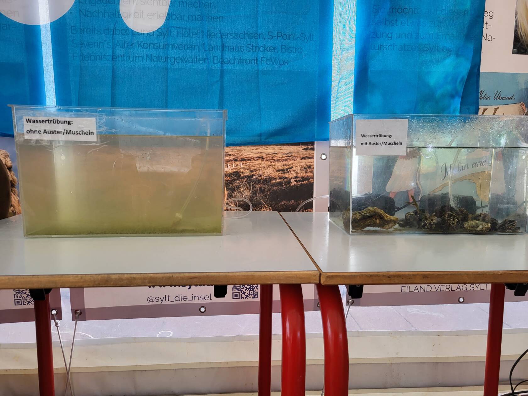 Forschung zum Anfassen – Alfred-Wegener-Institut auf dem Windsurf World ...