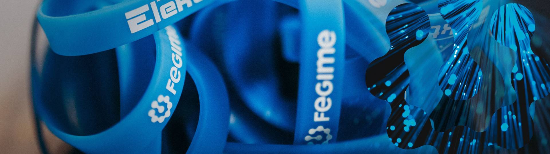 Organisation › FEGIME